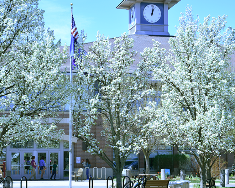 Home | Traverse Area District Library